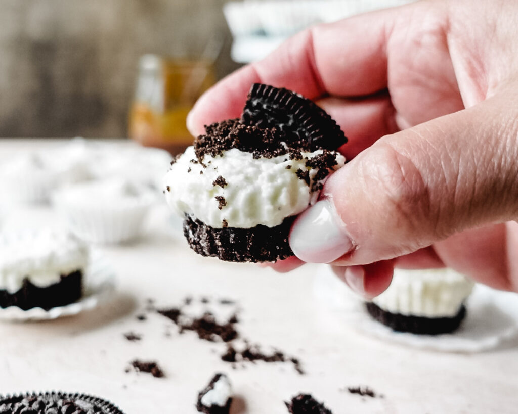 One Bite No Bake Mini Cheesecake Bites - Kickass Baker